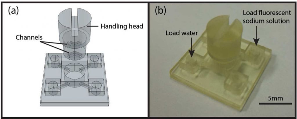 Research – Hongkai Wu's Lab