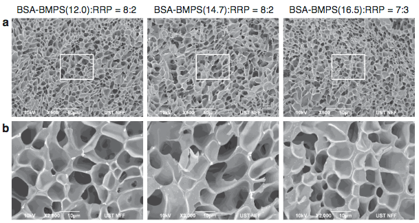 Research – Hongkai Wu's Lab